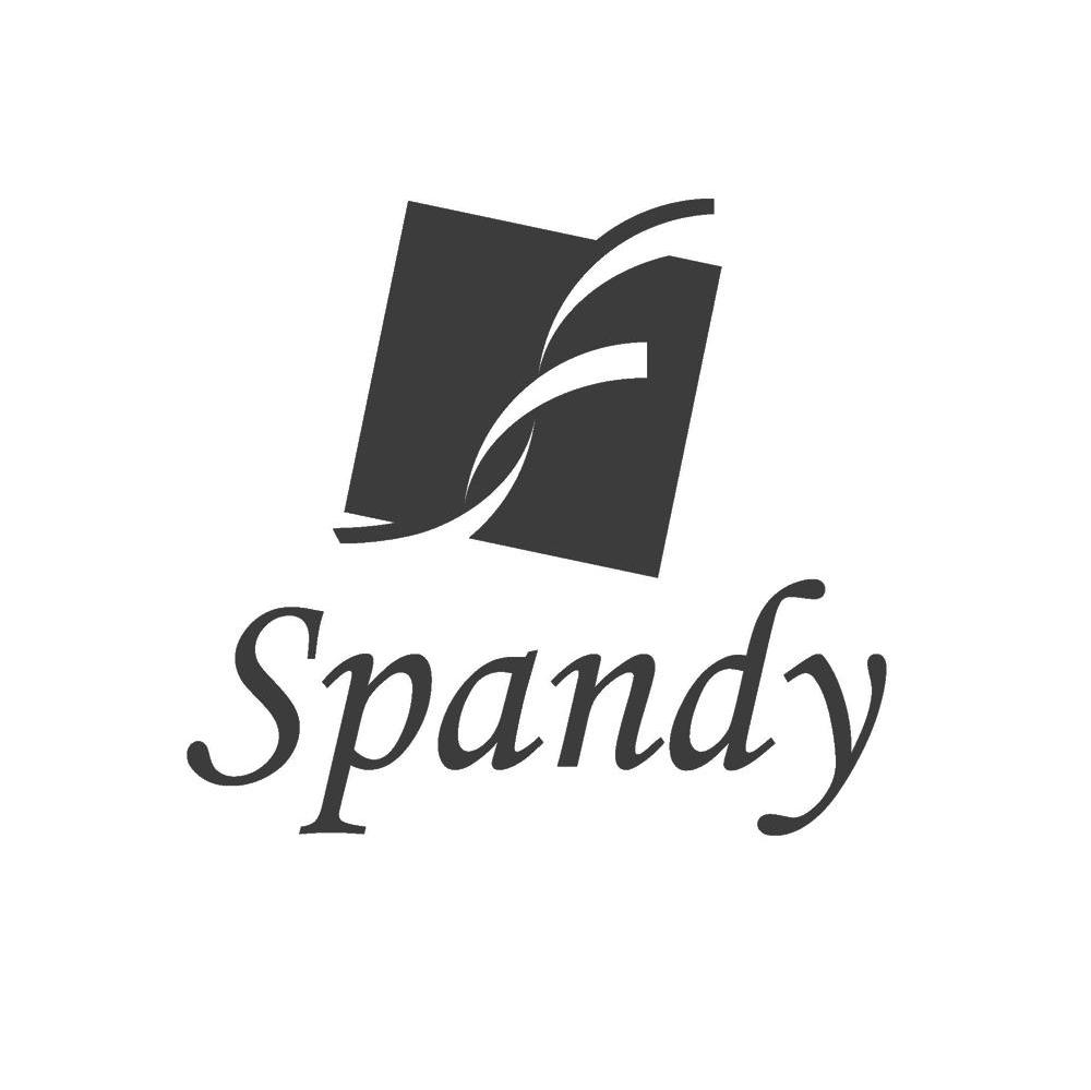 spandy,dyspdy,spdy吸尘器_大山谷图库