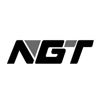 ngt,顶配,动力_大山谷图库